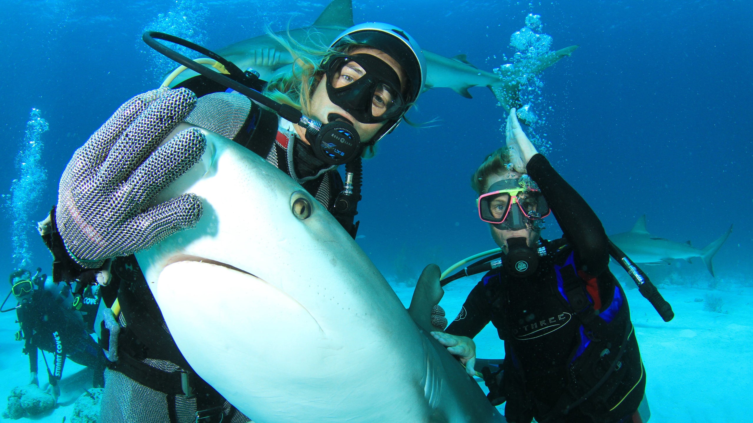 Dive 1st Aid | Scuba Diving Medical Kits and First Aid Kits