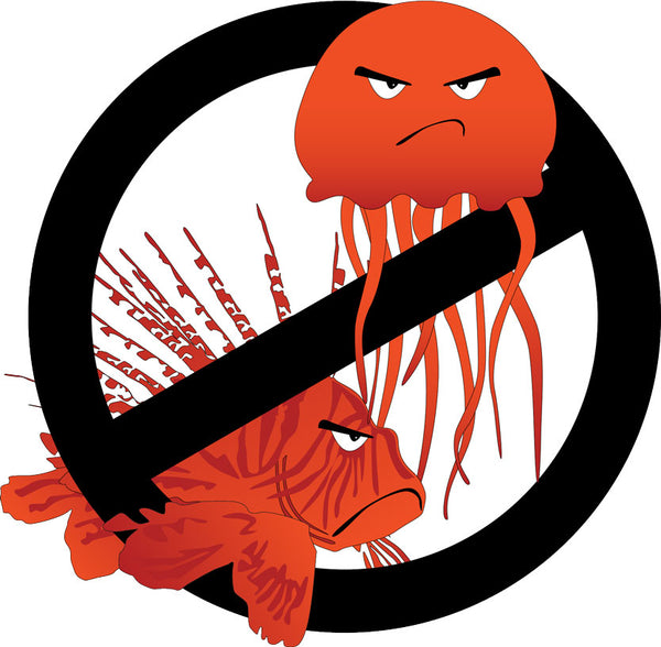 StingMaster - Dive 1st Aid